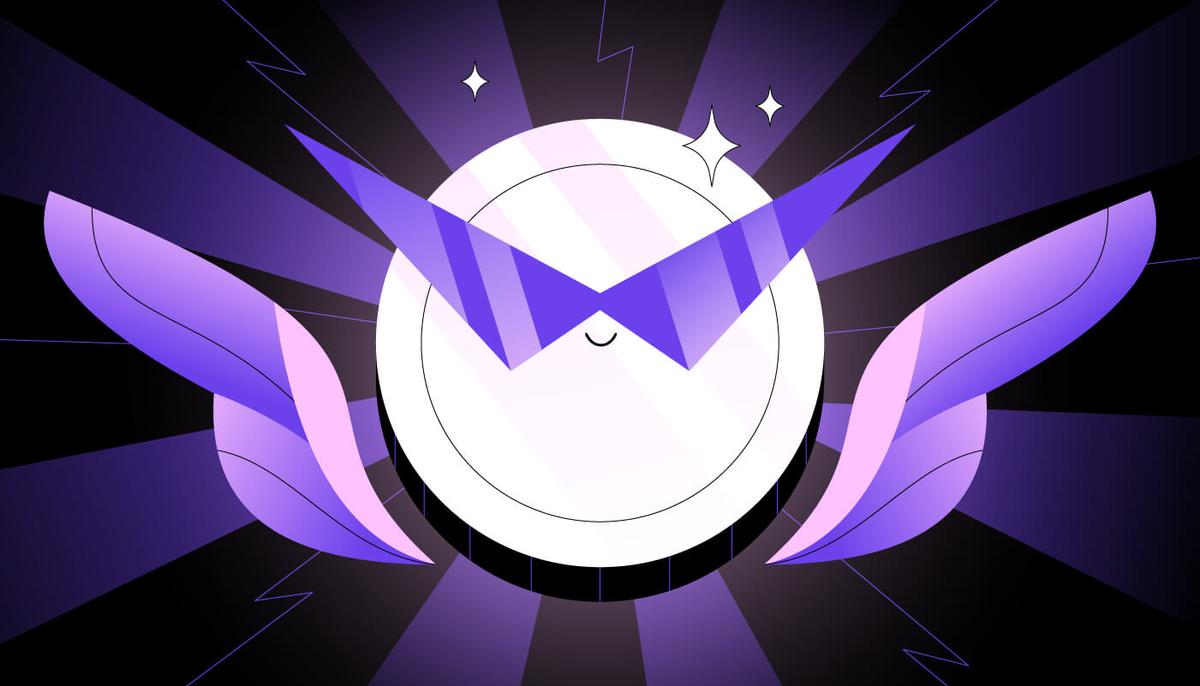 Token Creator Base Coinfactory