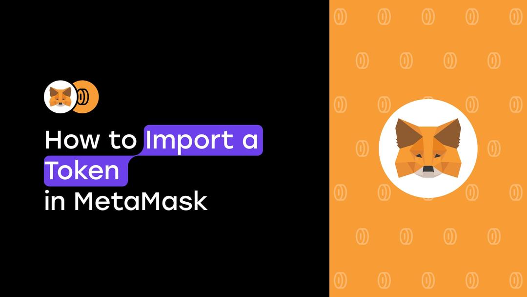 How to Import a Token in Metamask | CoinFactory